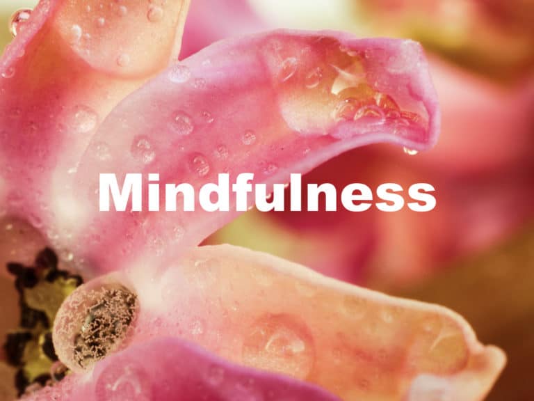 Mindfulness Sensory Awareness – St. Kitts Counseling Services